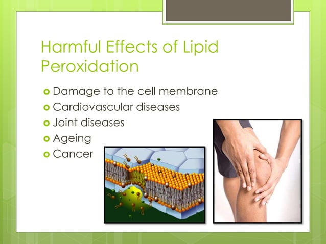 Rancidity & Lipid Peroxidation | PPTX