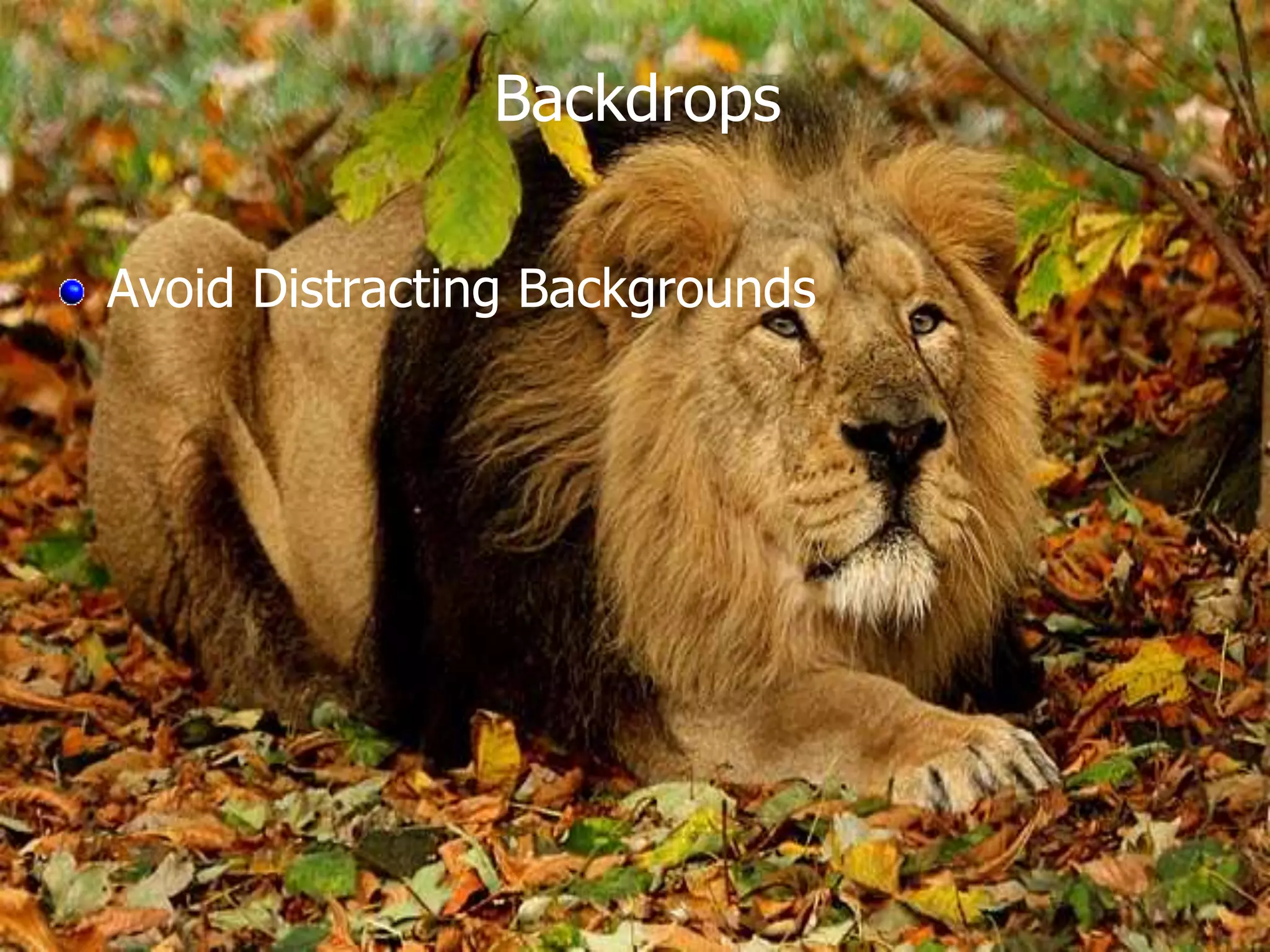 PowerPoint Uses, Abuses & Excuses | PPT