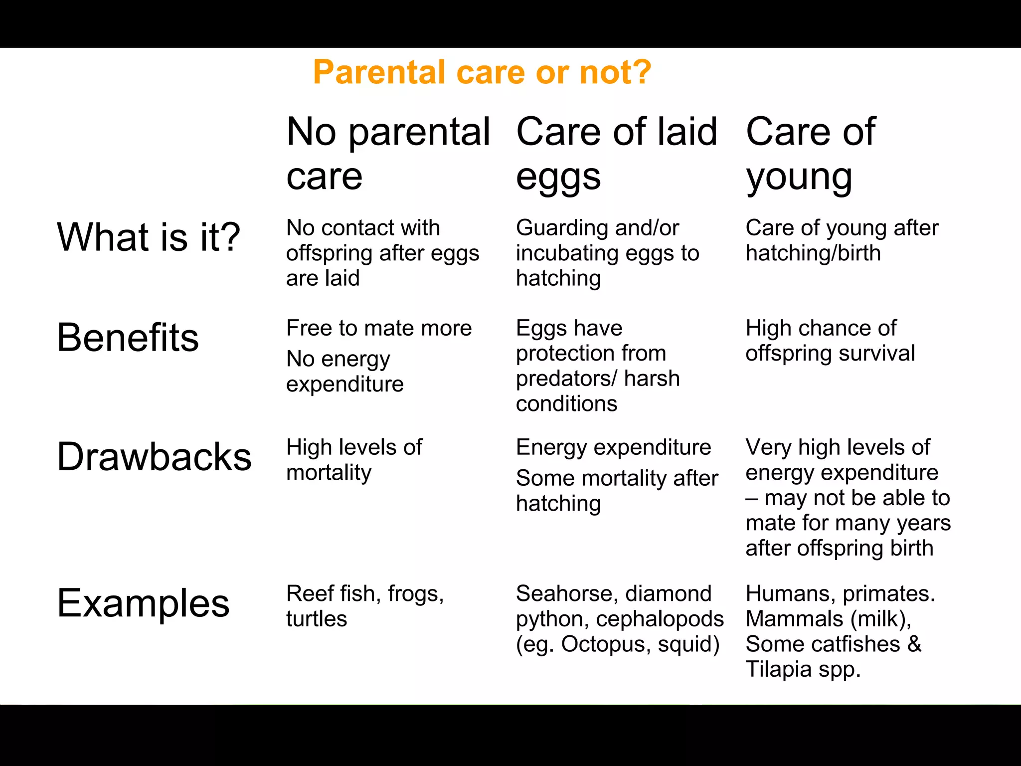 r and k selection | PPT