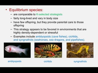 R Strategist Examples