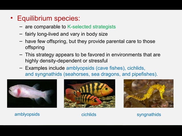 r and k selection | PPT | Biological Sciences | Science