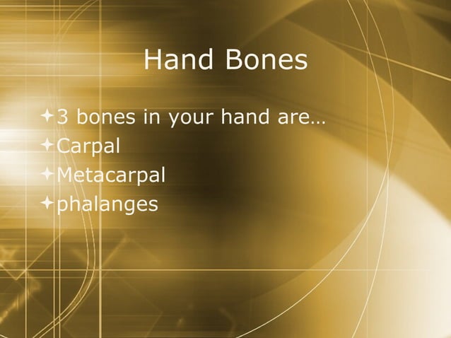 Hands & Fingers | PPT