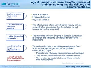 凯捷安永 分析及假设 | PPT