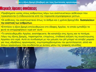 περιβάλλον | PPT