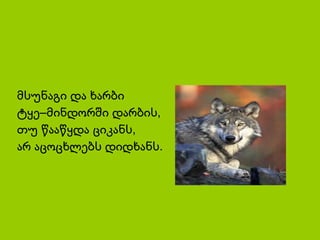 ლომი და თაგვი | PPT