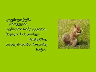 ლომი და თაგვი | PPT