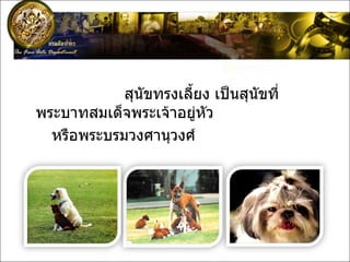 ช้างเผือกคู่พระบารมี | PPT