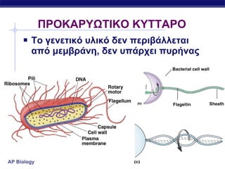 κυτταρική θεωρία μοντέλο ρευστού μωσαικού | PPT