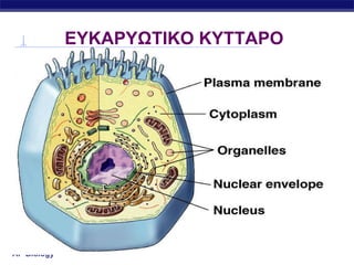 κυτταρική θεωρία μοντέλο ρευστού μωσαικού | PPT