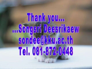 Friendship on speech | PPT