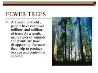 берегите природу | PPT