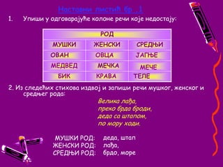 Rod i broj imenica, 2. razred | PPSX