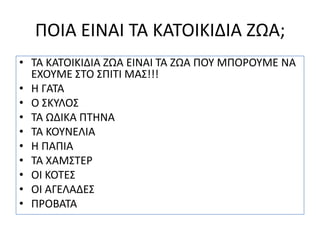 κατοικιδια ζωα | PPTX