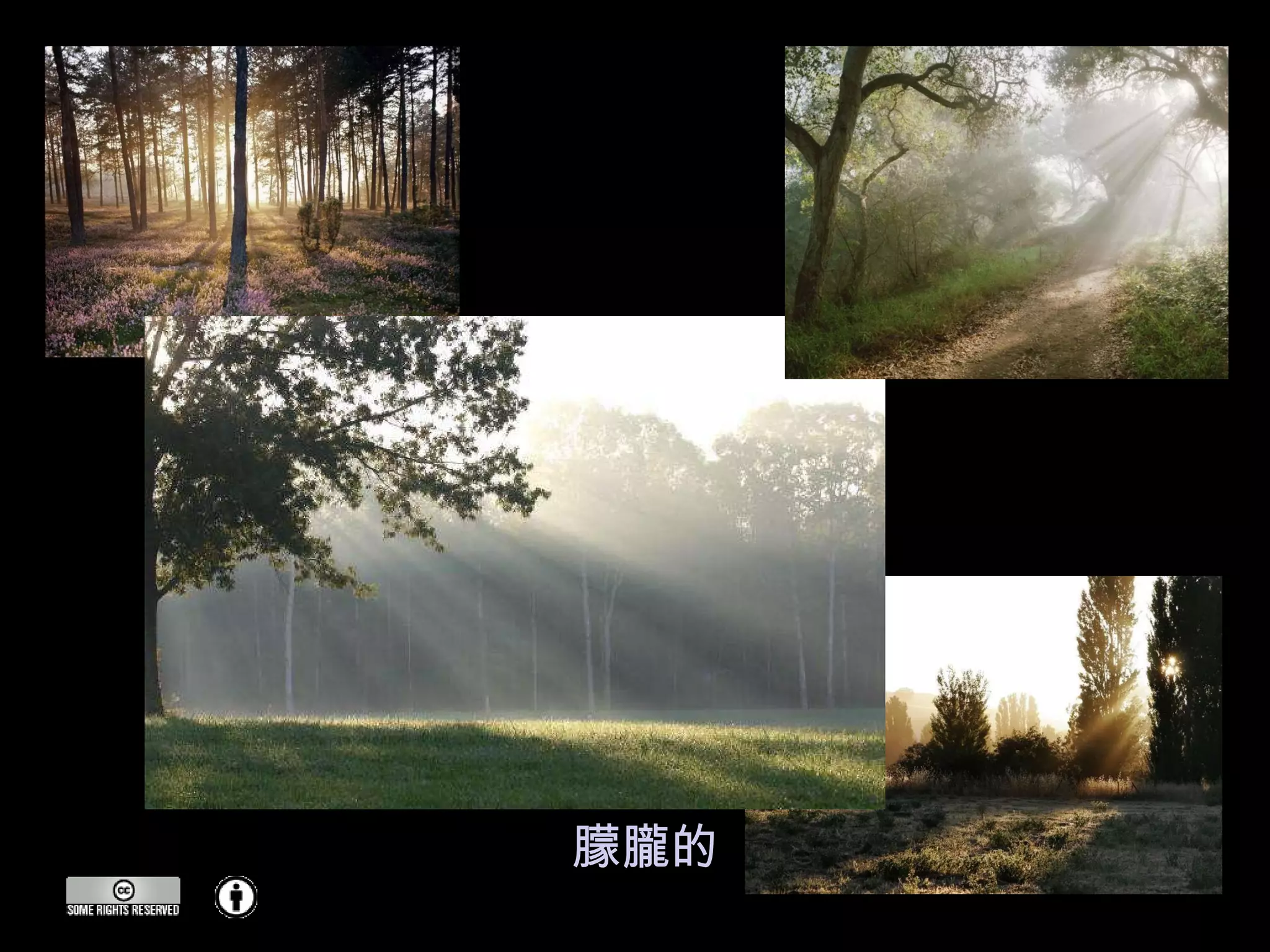 sunlight | PPT