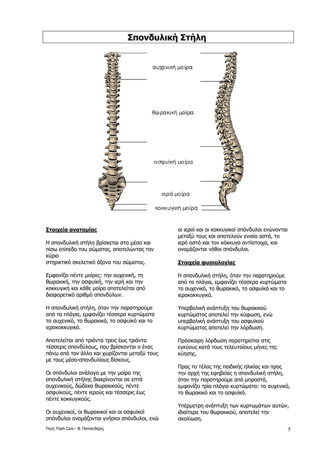 ανατομια ανθρωπινου-σωματοσ