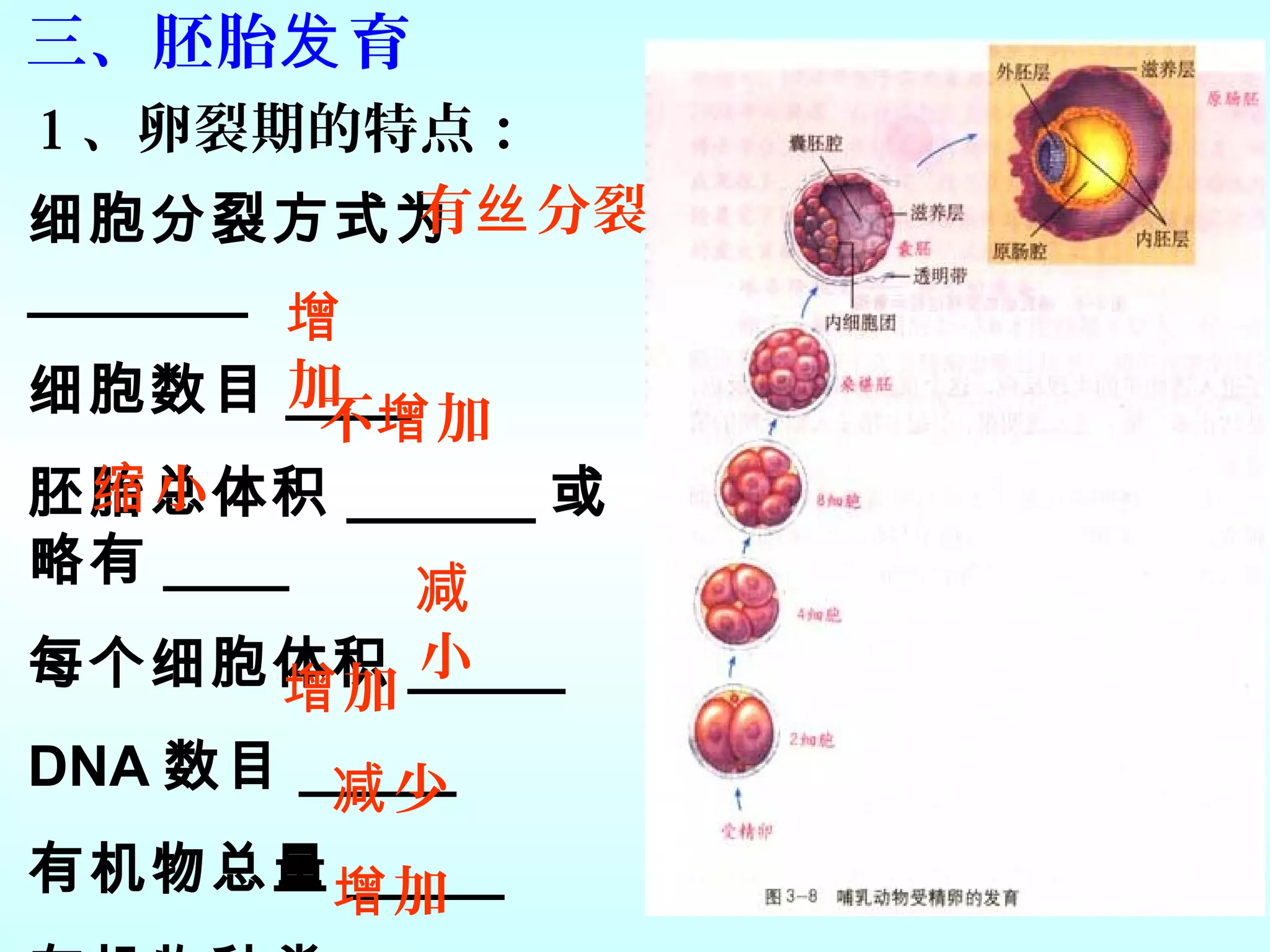 Embryo Engineering | PPT