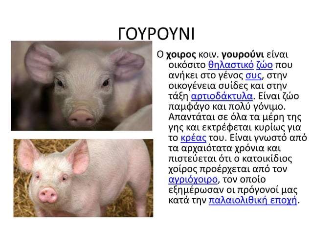 τα ζώα του αγροκτηματος | PPTX