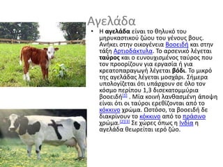 τα ζώα του αγροκτηματος | PPTX