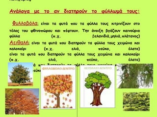 Μελέτη του περιβάλλοντος | PPT