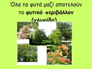 Μελέτη του περιβάλλοντος -Γ' Τάξη | PPT
