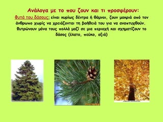 Μελέτη του περιβάλλοντος -Γ' Τάξη | PPT