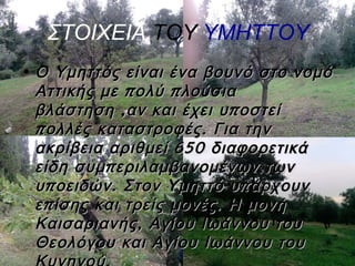 Χλωρίδα του Υμηττού | PPT