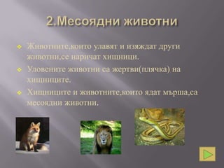 елена дом. | PPTX