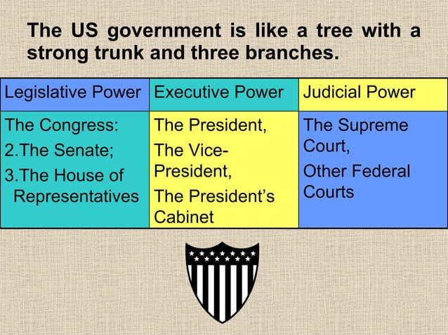 The Political System of the USA | PPT | Civic affairs | Politics