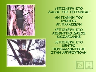 ΤΟ ΔΑΣΟΣ | PPT