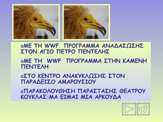 ΤΟ ΔΑΣΟΣ | PPT