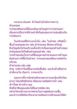 หน้าที่และชนิดของราก | PDF