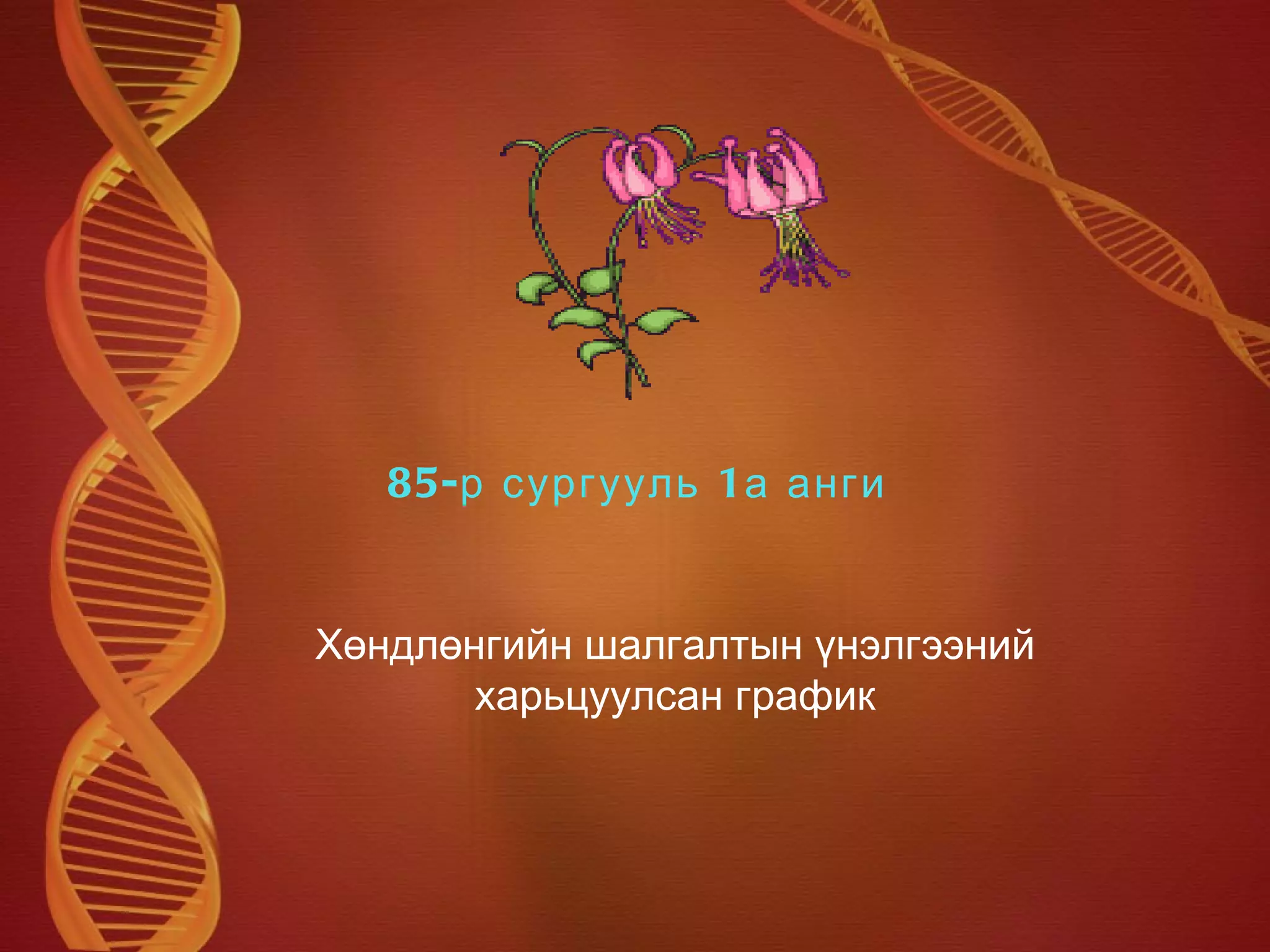 шалгалтын график | ODP