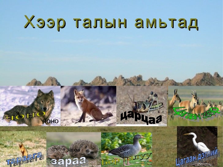 хичээл цахим хүн орчин