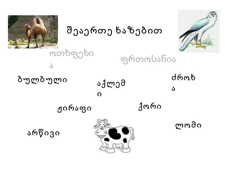 დედაენა