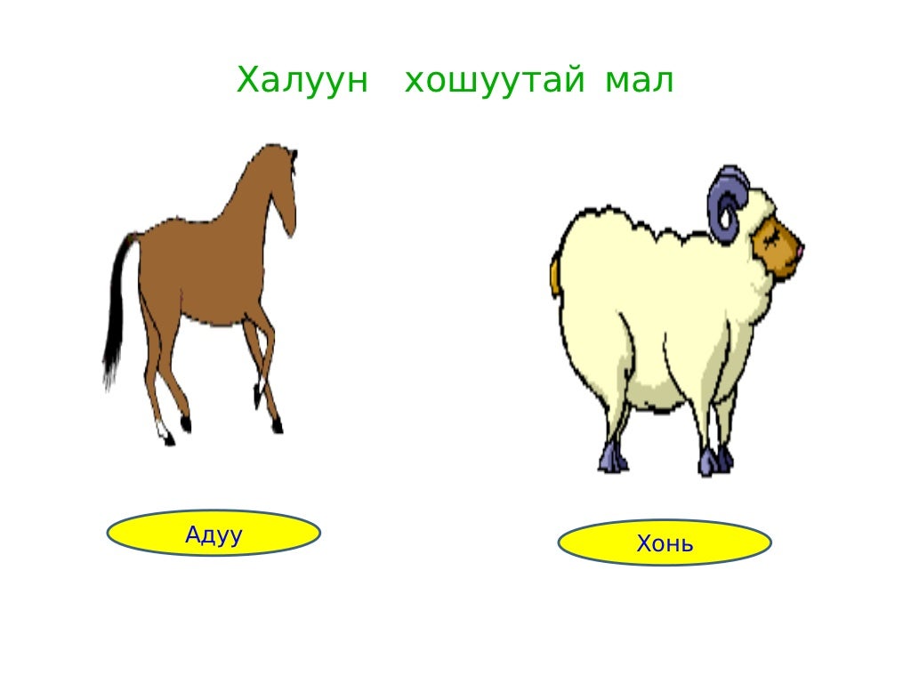 таван хошуу мал
