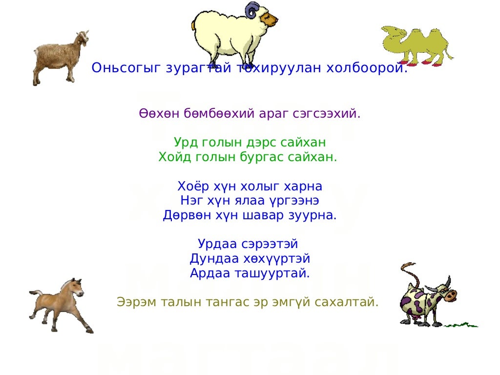 таван хошуу мал