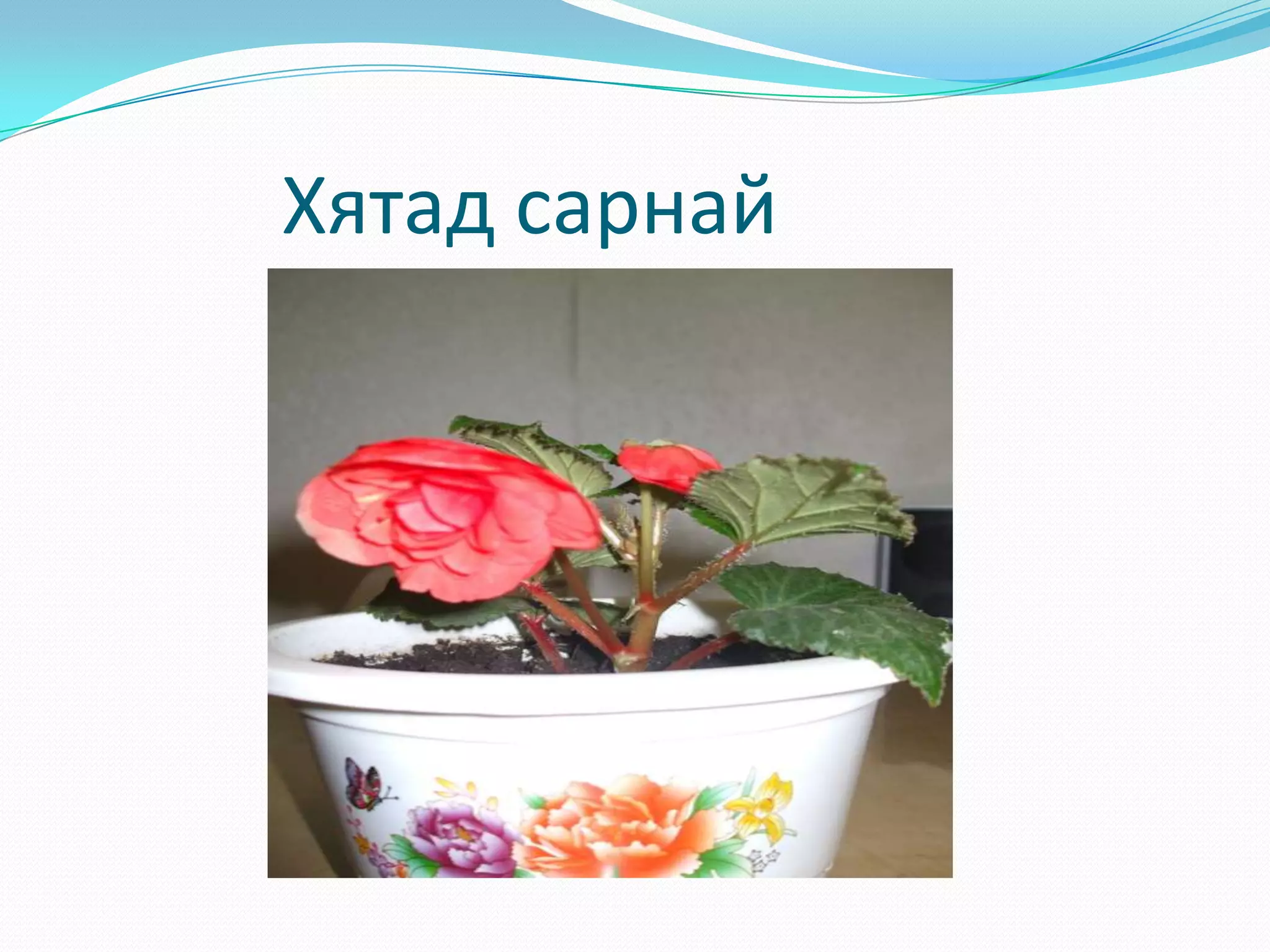 цэцэг арчлах арга Pptx