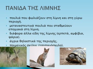 Λίμνη Στυμφαλία | PPT