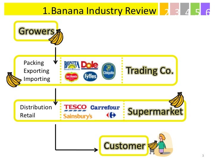 banana industry