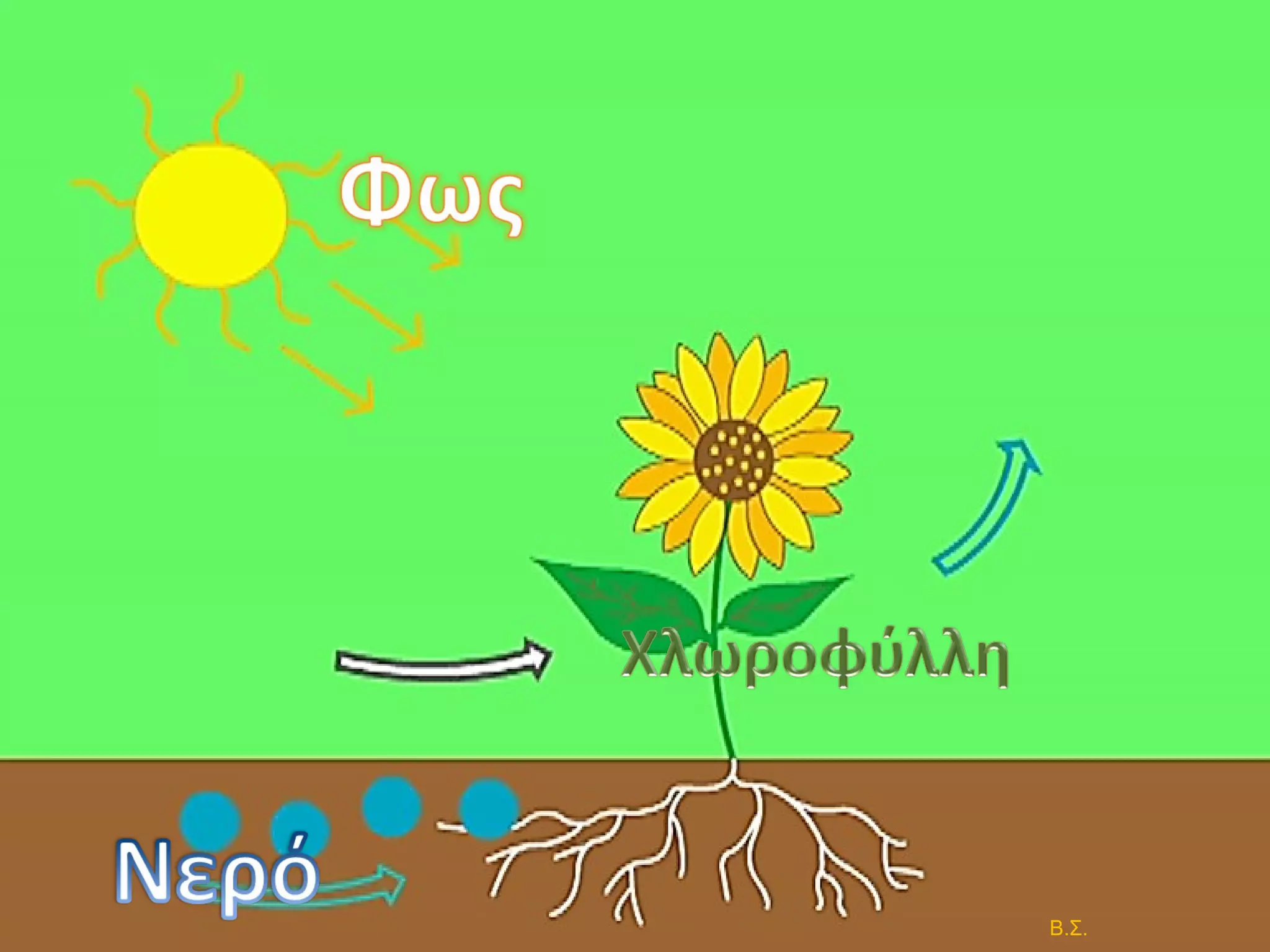 ΦΩΤΟΣΥΝΘΕΣΗ | PPT