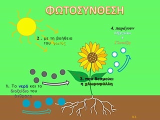 ΦΩΤΟΣΥΝΘΕΣΗ | PPT