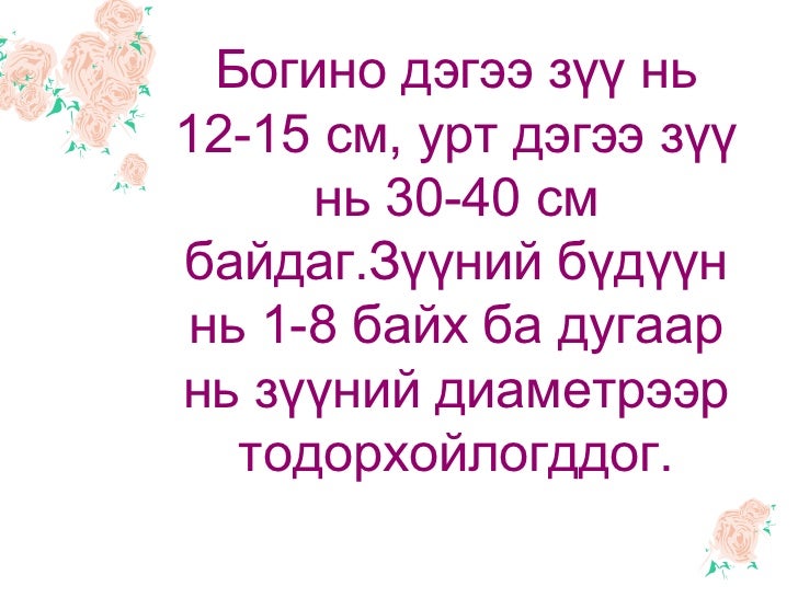 дэгээ зүү