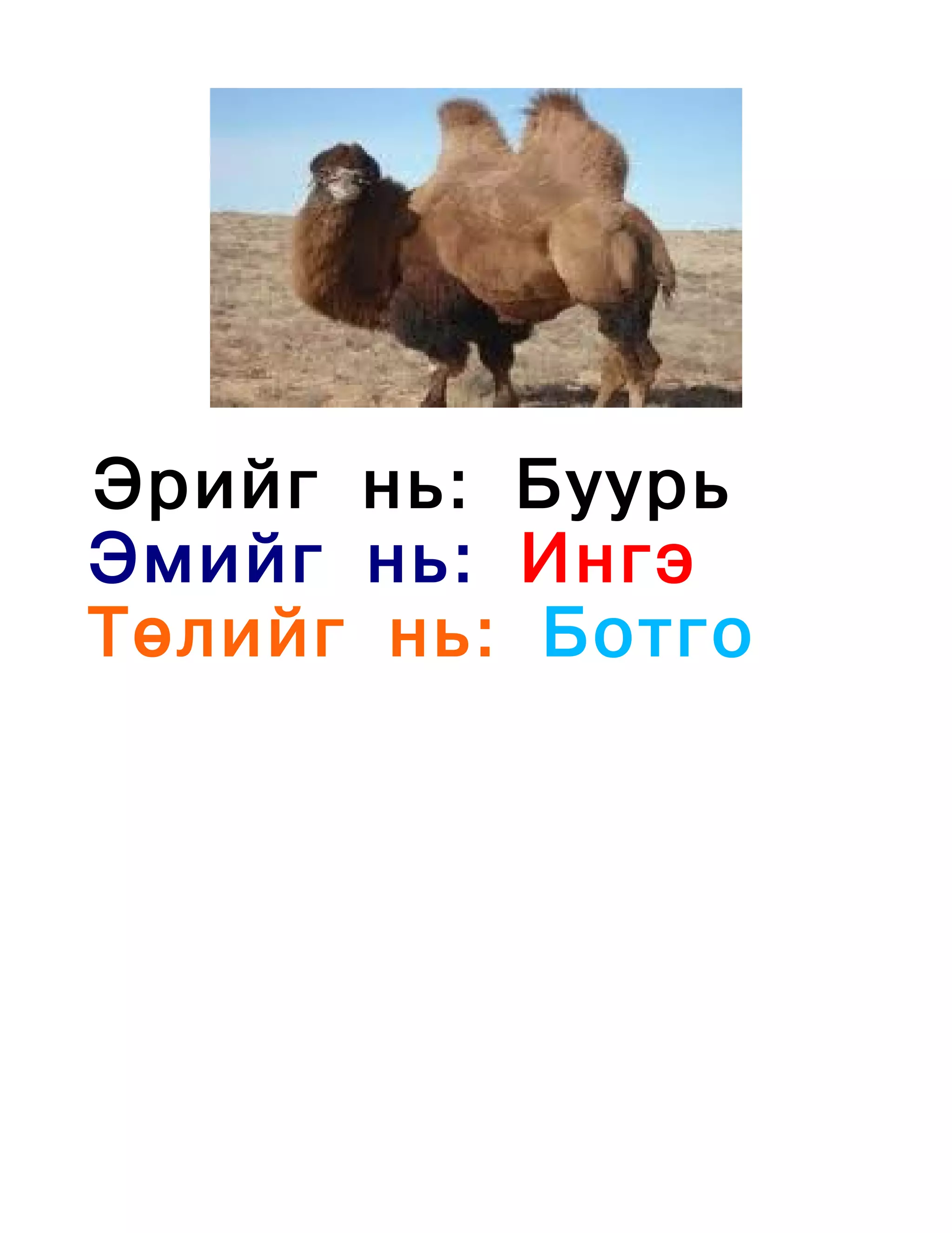тэмээ | PDF