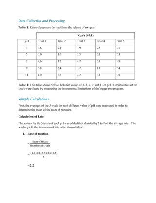 Biology Catalase Lab | PDF