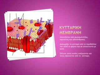 Το κυτταρο Κεφαλαιο 1 Βιολογια Γυμνασιου | PPTX