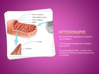Το κυτταρο Κεφαλαιο 1 Βιολογια Γυμνασιου | PPTX
