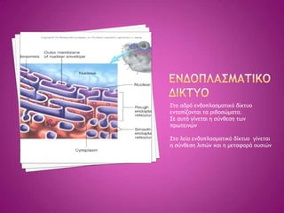 Το κυτταρο Κεφαλαιο 1 Βιολογια Γυμνασιου | PPTX