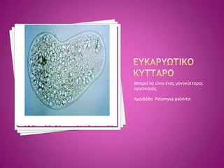 Το κυτταρο Κεφαλαιο 1 Βιολογια Γυμνασιου | PPTX