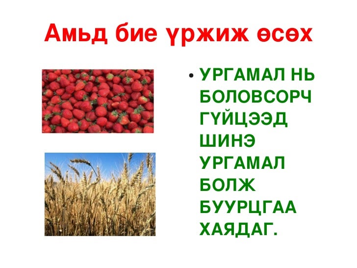 амьд биеийн үржил хөдөлгөөн