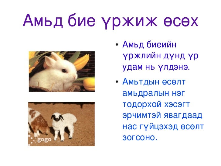 амьд биеийн үржил хөдөлгөөн